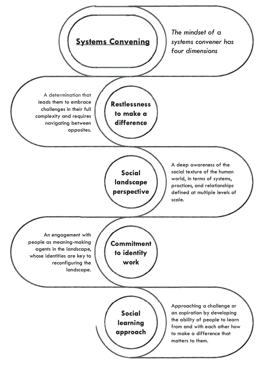 Are you a Systems Convener? Learn strategies to enable learning across ...